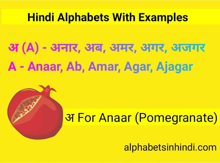 Hindi Alphabets With Examples Hindi To English Translated hindi-alphabets-with-examples-hindi-to-english-translated